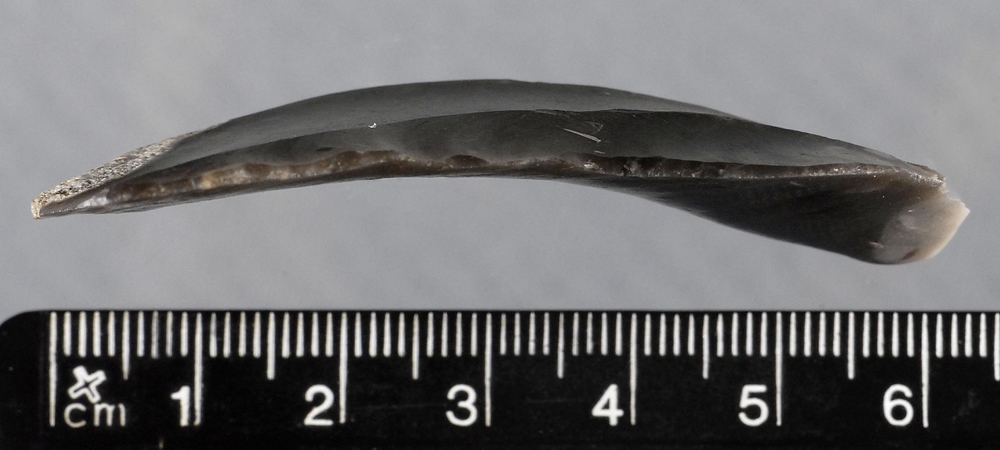 Neolithic Flint Flake