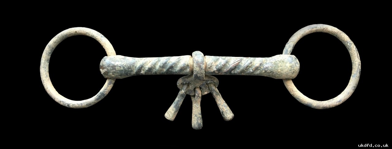 Bridle Bit
