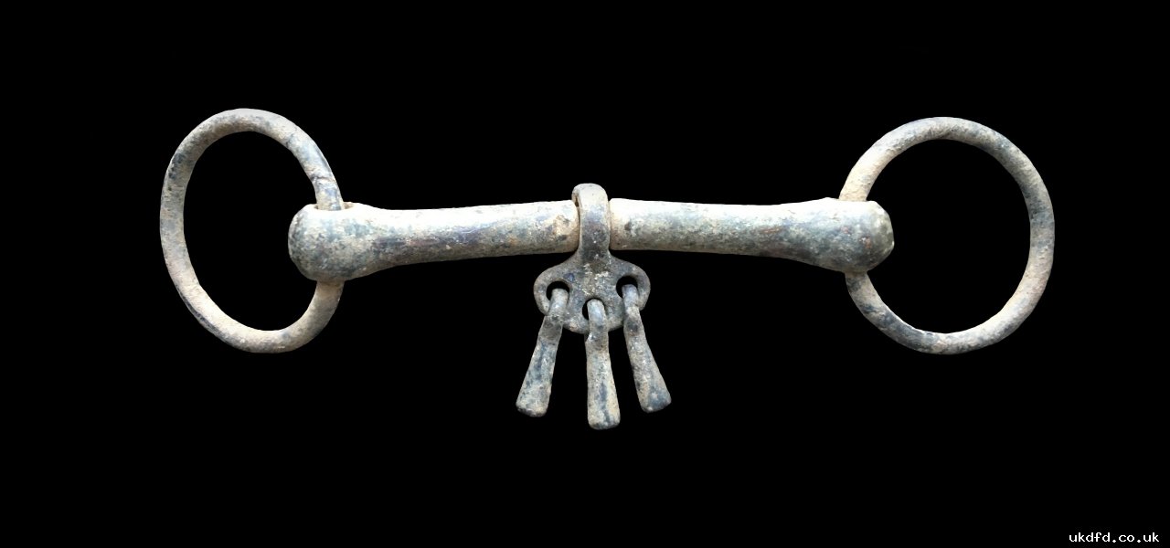 Bridle Bit