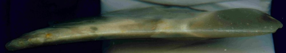 Neolithic Composite Tool