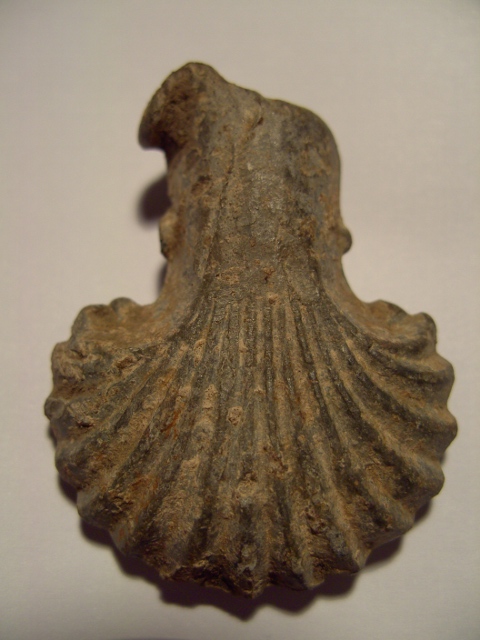 Pilgrim's Ampulla