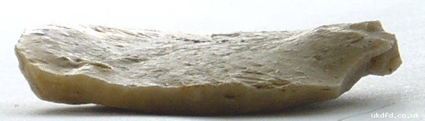 Neolithic Scraper