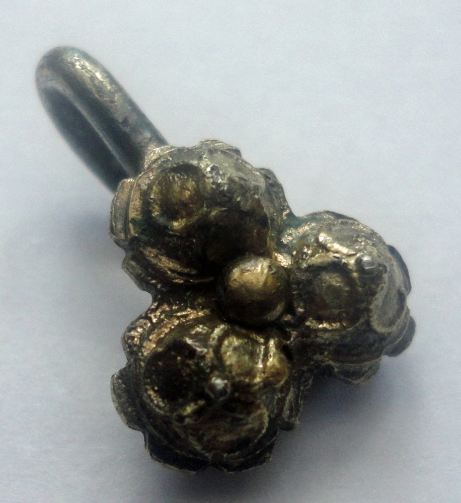 Hooked Clothes Fastener