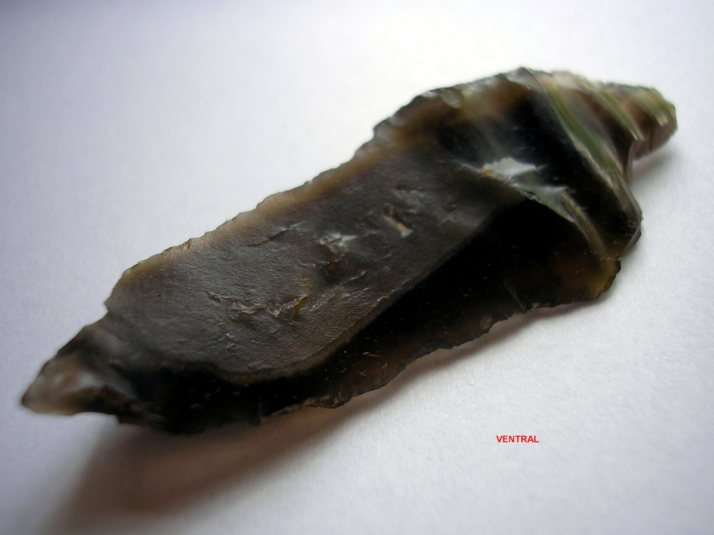 Neolithic Composite Tool