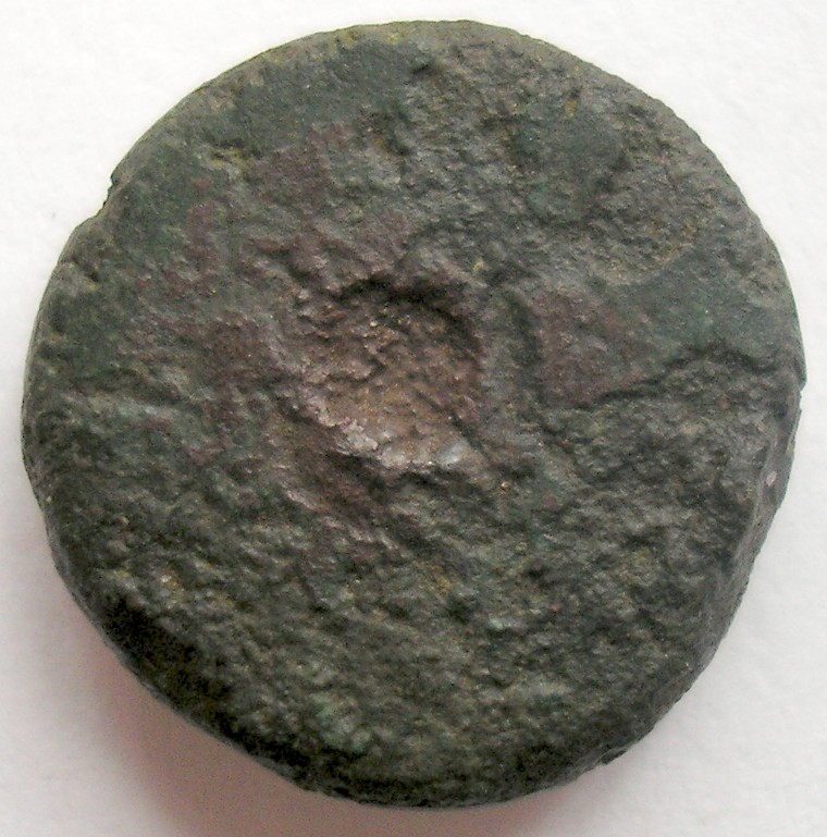 Button-and-Loop Fastener (Fragment)