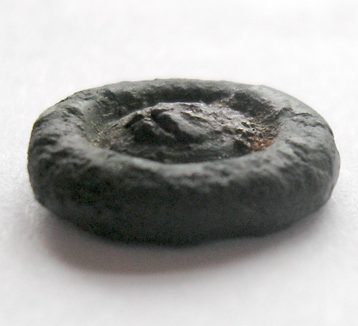 Button-and-Loop Fastener (Fragment)