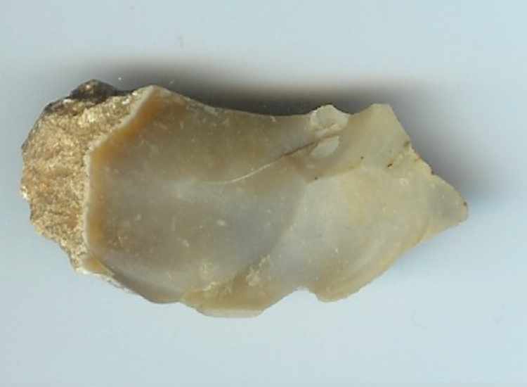 Neolithic 'Thumb' Scraper