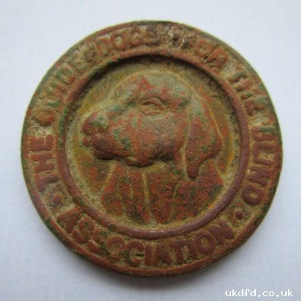 The Guide Dogs For The Blind Association Badge