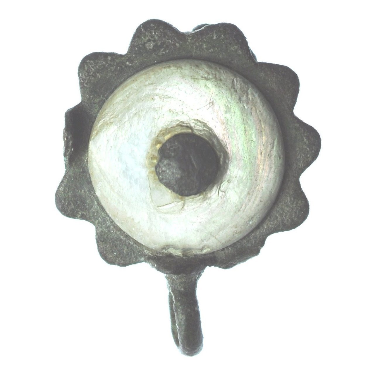 Hooked Clothes Fastener