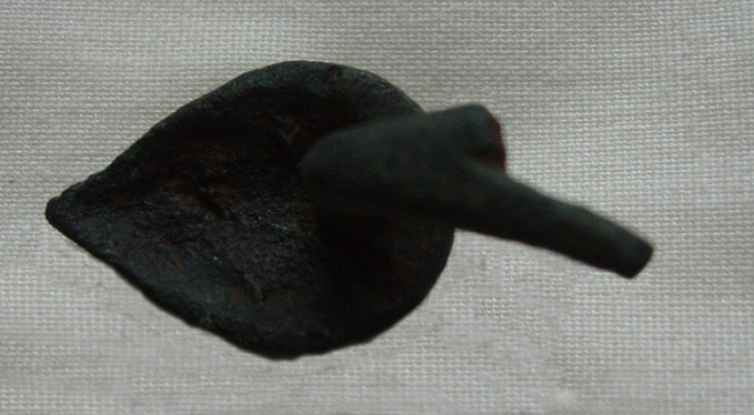 Button-and-Loop Fastener