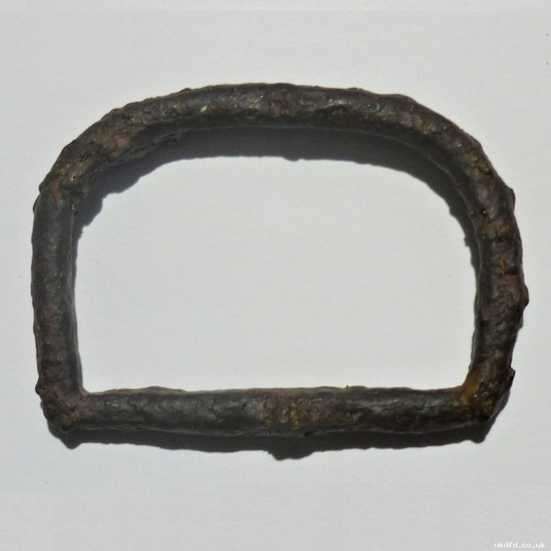 Single Loop D-Shaped Buckle