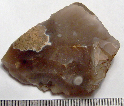Lithic Debitage